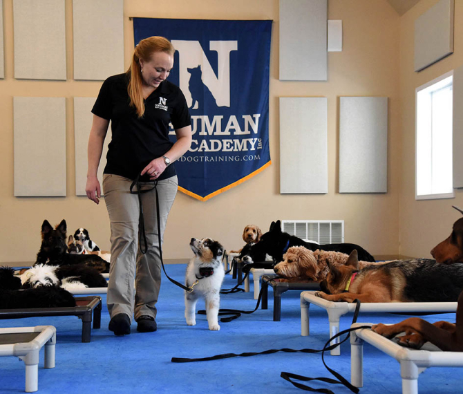 Neuman K-9 Academy - Membership